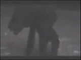 Category:Cursed Videos | Creepy Videos Wikia | Fandom