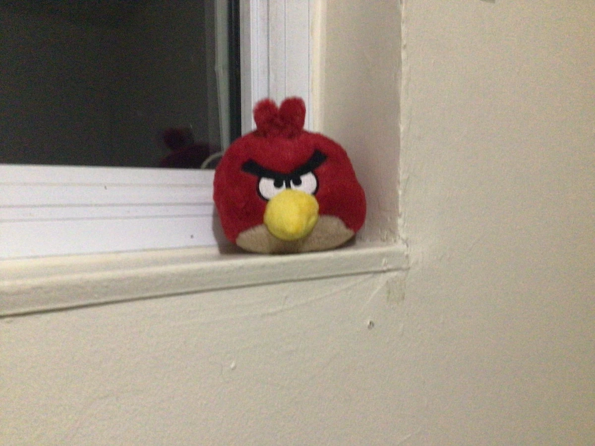 The Cursed Bird Plush | Creepypasta Fanon Wiki | Fandom