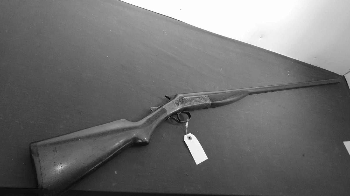 Sammy's Secret | Creepypasta Land Wiki | Fandom