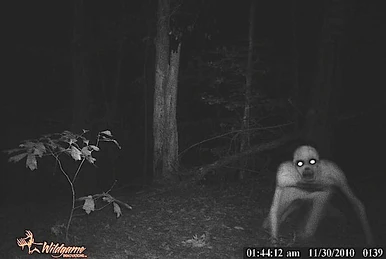 Portráid Teaghlaigh Creepypasta Féar Gortach | Creepypasta Wiki