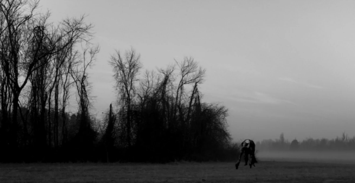 Oneirophobia | Creepypasta Wiki | Fandom