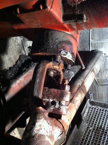 SCP-1266 | Wiki Creepypasta | Fandom