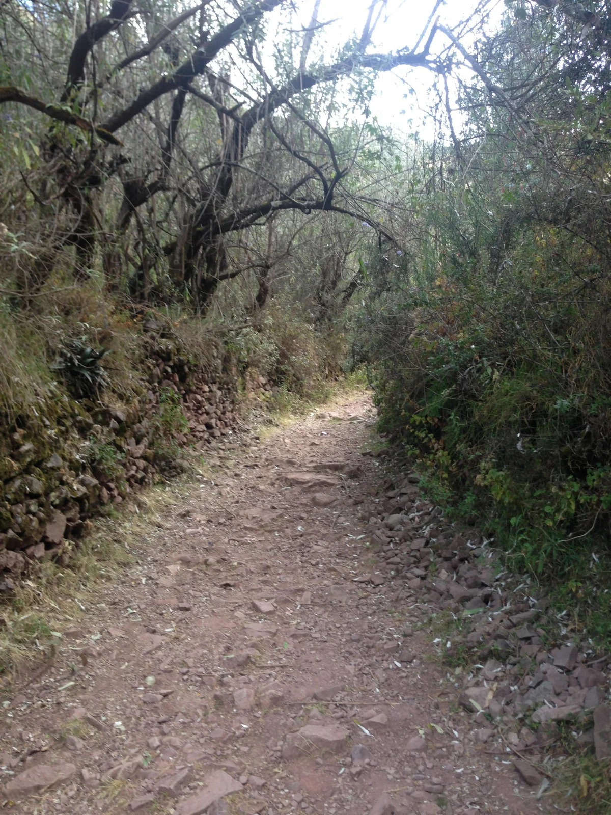 No Way Back | Creepypasta Wiki | Fandom