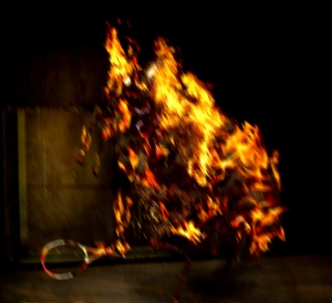 SCP-2117 | Wiki Creepypasta | Fandom