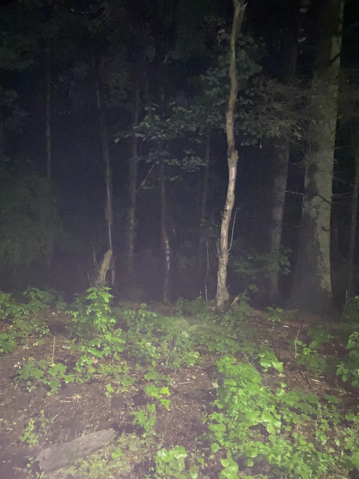 El Silbador - The Whistler | Creepypasta Wiki | Fandom