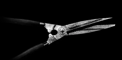 The Scissor Man | Creepypasta Wiki | Fandom