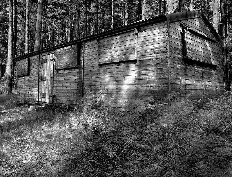 The Shack | Creepypasta Wiki | Fandom