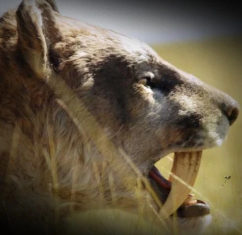 SCP-561 | Wiki Creepypasta | Fandom