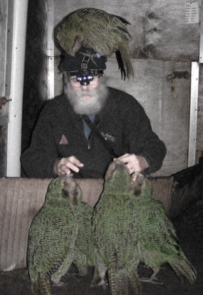 SCP-1782 | Wiki Creepypasta | Fandom