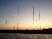 SCP-4445 | Wiki Creepypasta | Fandom