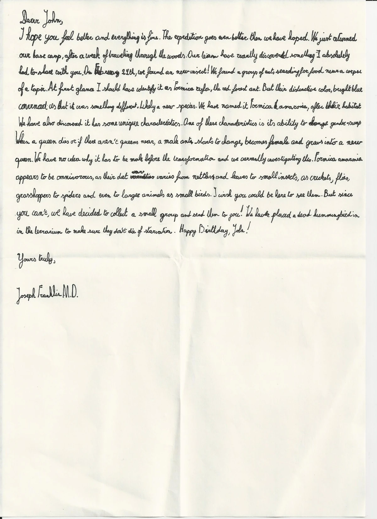 Formica Necropolia | Creepypasta Wiki | Fandom