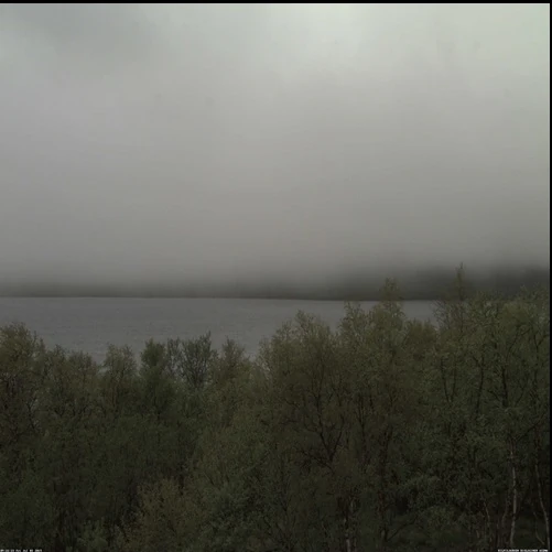 The Puppet's Waltz | Creepypasta Wiki | Fandom