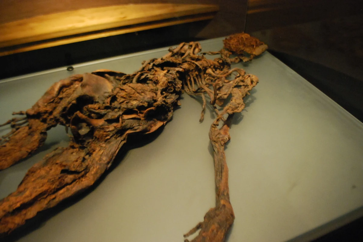 SCP-2690 | Wiki Creepypasta | Fandom