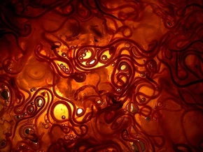 SCP-2191 | Wiki Creepypasta | Fandom