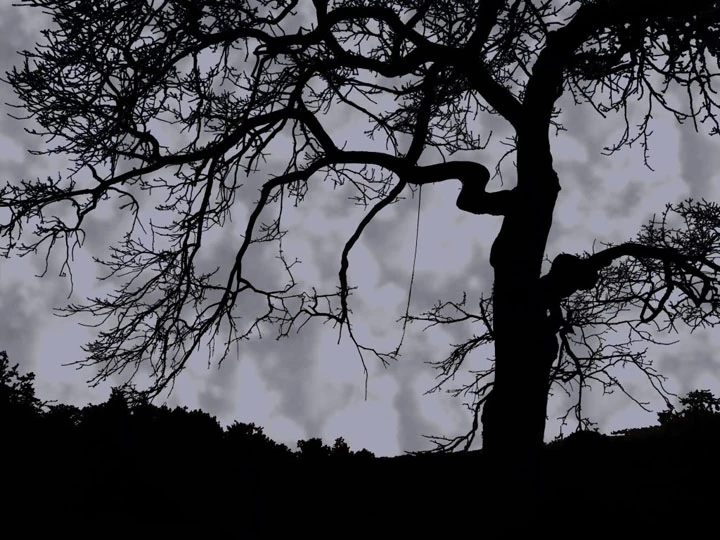 The Witch's Tree | Creepypasta Wiki | Fandom