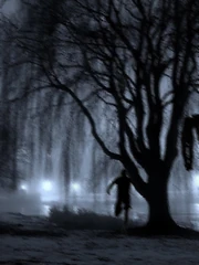 The Willow Creature | Creepypasta Wiki | Fandom