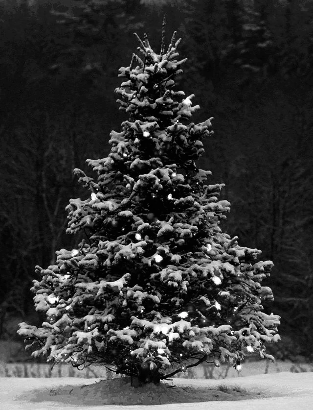 A Strange Christmas Game | Creepypasta Wiki | Fandom