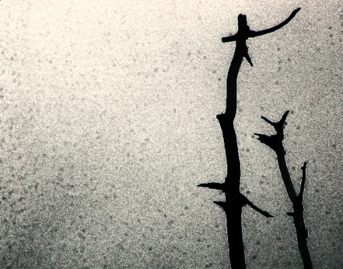 The Snag | Creepypasta Wiki | Fandom