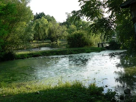 SCP-765 | Wiki Creepypasta | Fandom