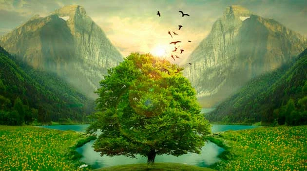 El Cielo Y El Infierno Según Arthur Yensen | Wiki Creepypasta | Fandom