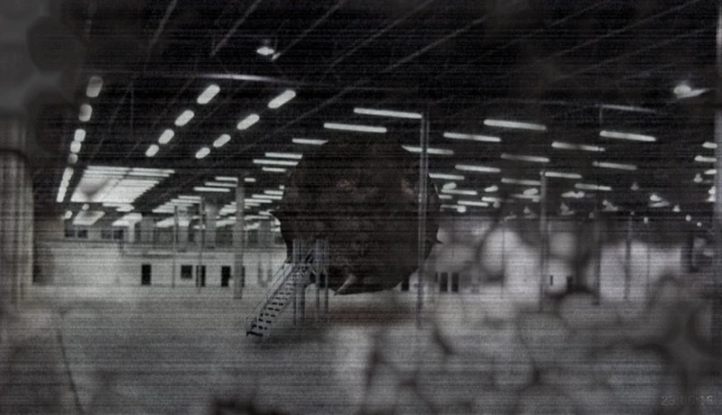 SCP-002 | Wiki Creepypasta | Fandom