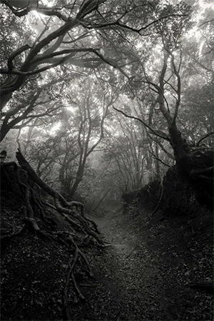 The End of the Path | Creepypasta Wiki | Fandom