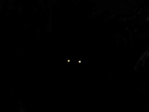 SCP-080: Dunkle Gestalt | Deutsches Creepypasta Wiki | Fandom