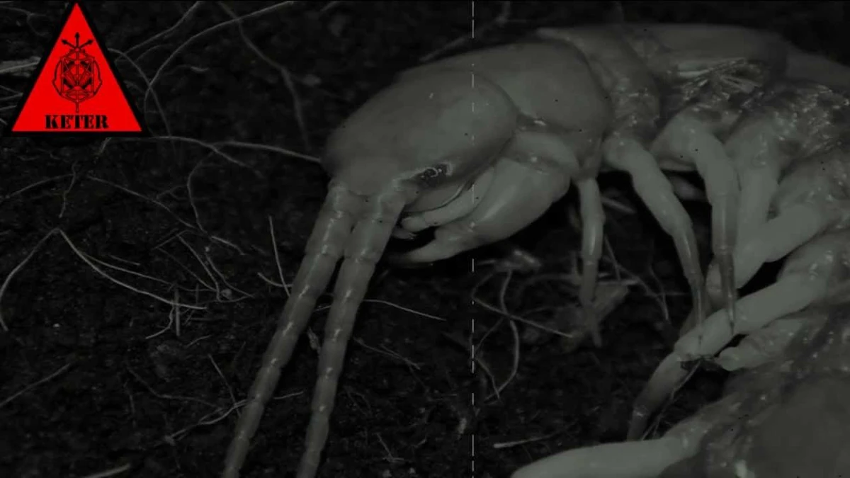 SCP-378 | Wiki Creepypasta | Fandom