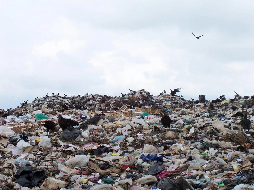 SCP-1330 | Wiki Creepypasta | Fandom