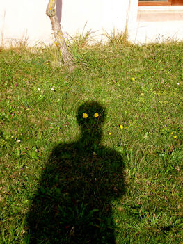 SCP-1058 | Wiki Creepypasta | Fandom