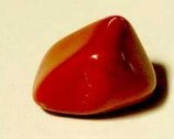 SCP-113 | Wiki Creepypasta | Fandom