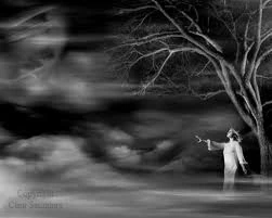 The Soul Tree | Creepypasta Wiki | Fandom