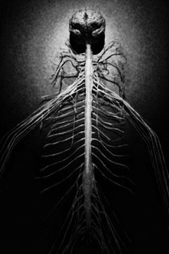 Anatomy of Apartment 11A | Creepypasta Wiki | Fandom