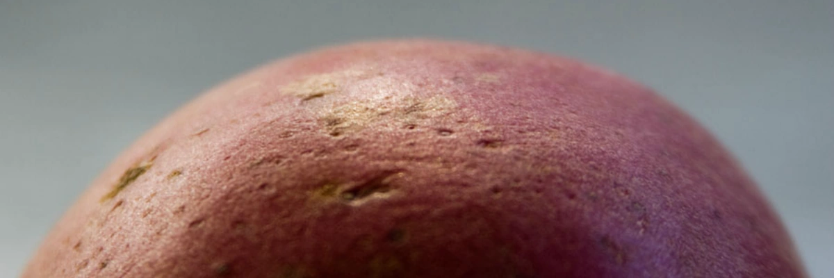 SCP-4420 | Wiki Creepypasta | Fandom