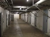 The Thing in the Basement | Creepypasta Wiki | Fandom