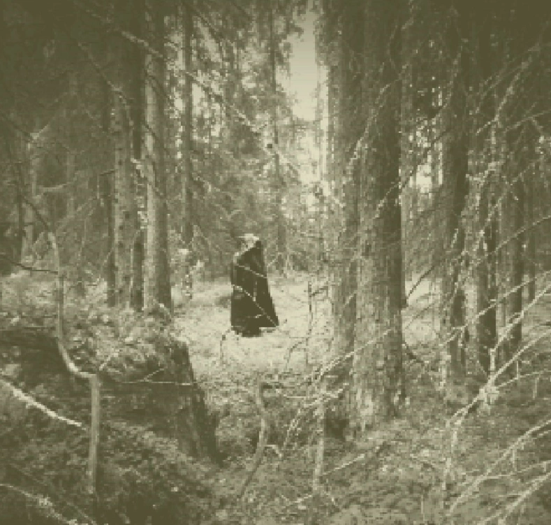 The Old Mossbeard | Creepypasta Wiki | Fandom