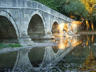 SCP-2513 | Wiki Creepypasta | Fandom