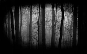 Dire Forest | Creepypasta Wiki | Fandom