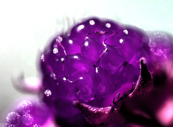 SCP-2682 | Wiki Creepypasta | Fandom