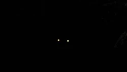 SCP-080 | Wiki Creepypasta | Fandom