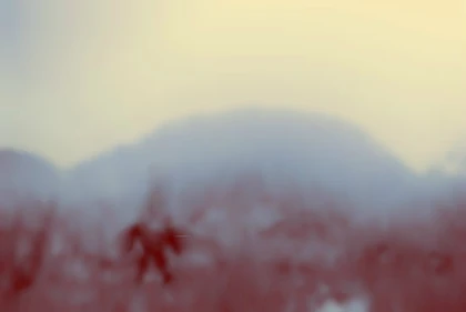 Mojave Mist Man | Creepypasta Wiki | Fandom