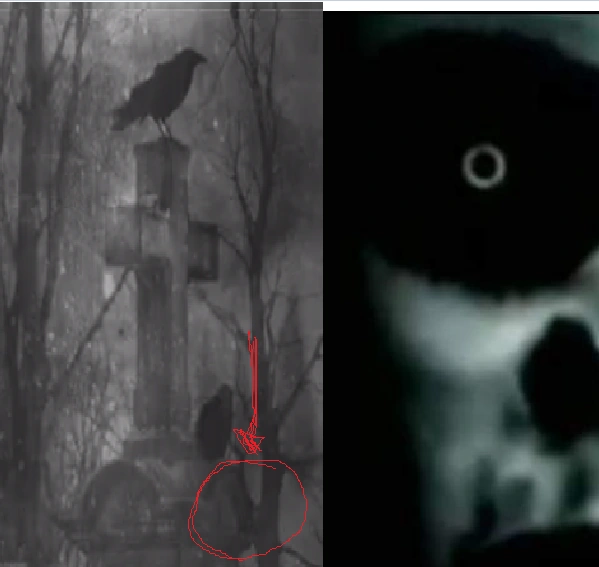 O menino careca | Wiki Creepypasta Brasil | Fandom