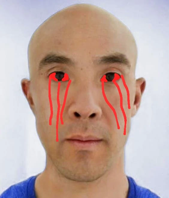 Tchau | Wiki Creepypasta Brasil | Fandom