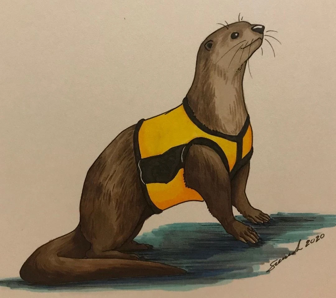 Otter | Crescent City Wiki | Fandom
