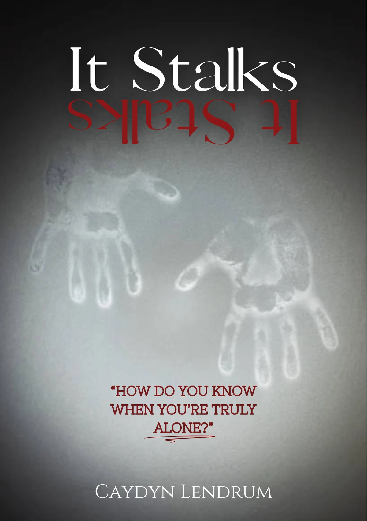 It Stalks | Caydyn Lendrum Books | Fandom