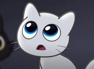 Créu Cat | Créu Cat Wiki | Fandom