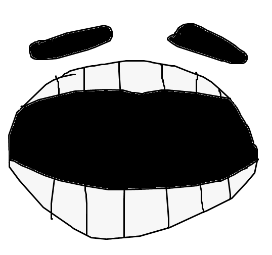 8O | CREWCentral Wiki | Fandom