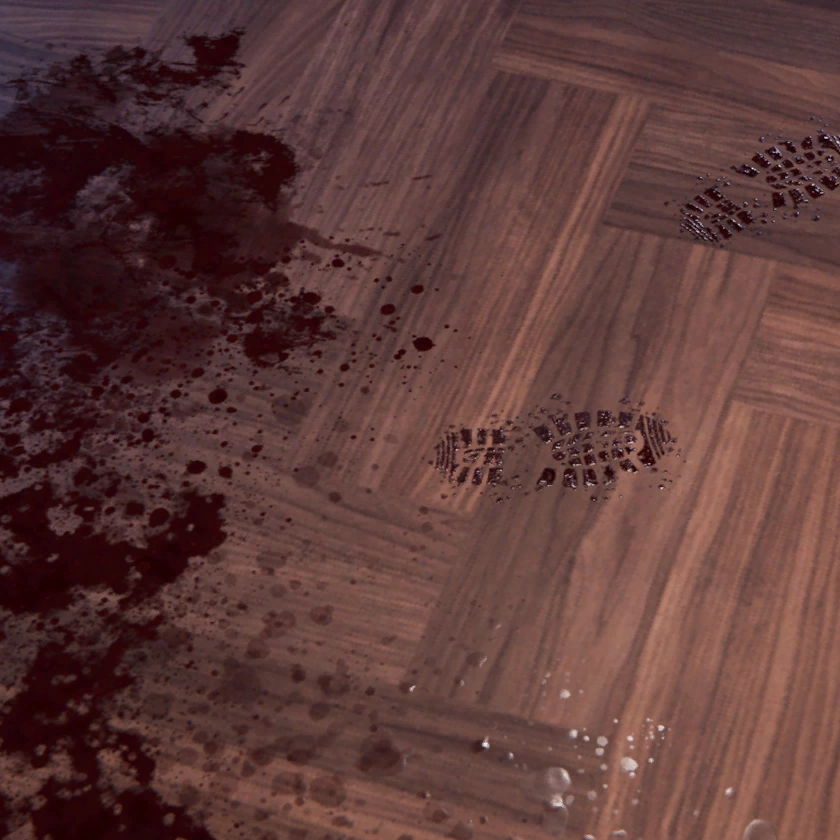 Blood | Crime Scene Cleaner Wiki | Fandom