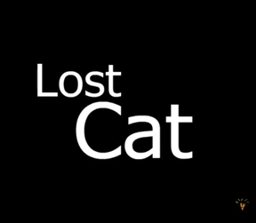 Lost Cat | Crime Time Wiki | Fandom