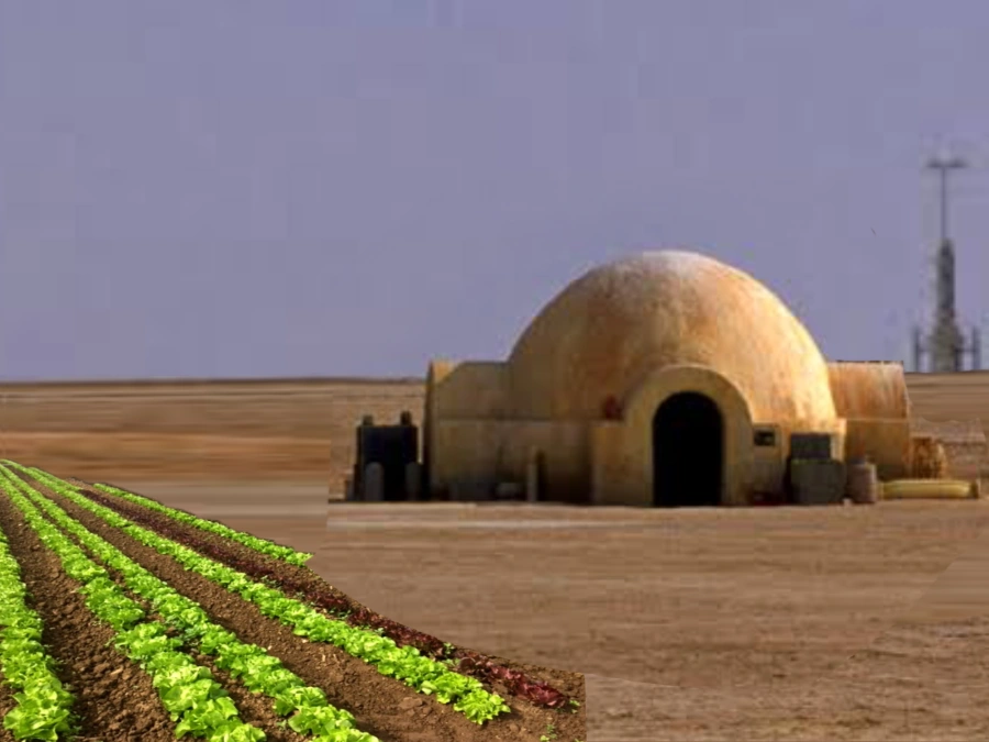 Blade Runner | Criminal Case Fanon Wiki | Fandom